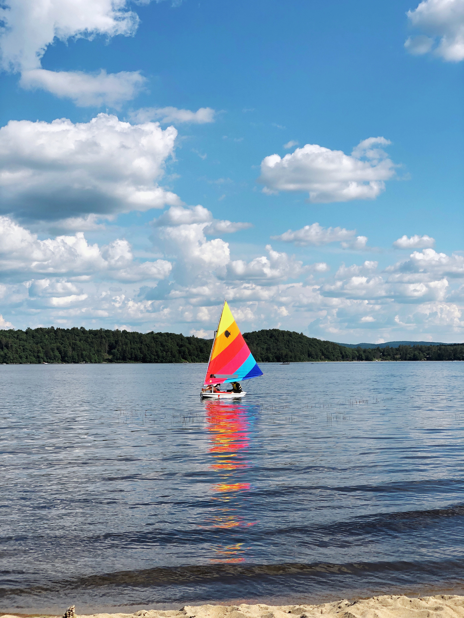 Explore CYC's Diverse Sailing Fleets & Boats